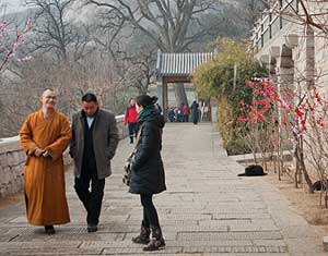 Buddhist Channel | China